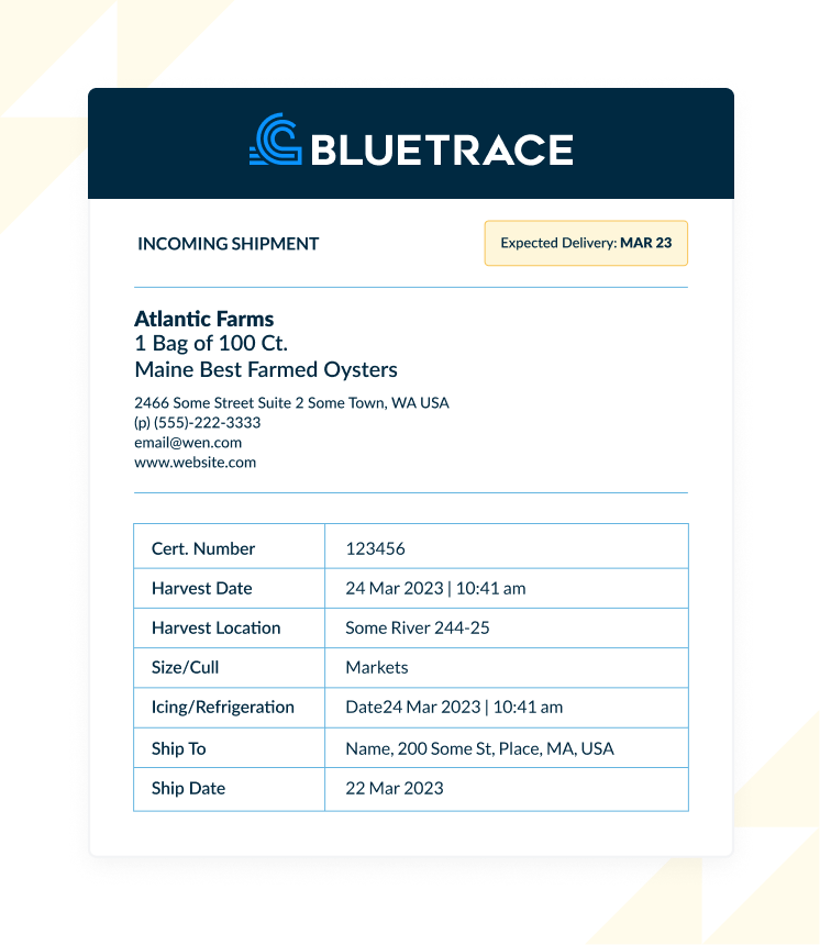 Streamline Operations: Efficient Shipping & Receiving | BlueTrace
